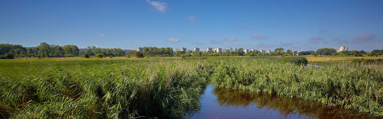 Homepage | London Borough of Bexley