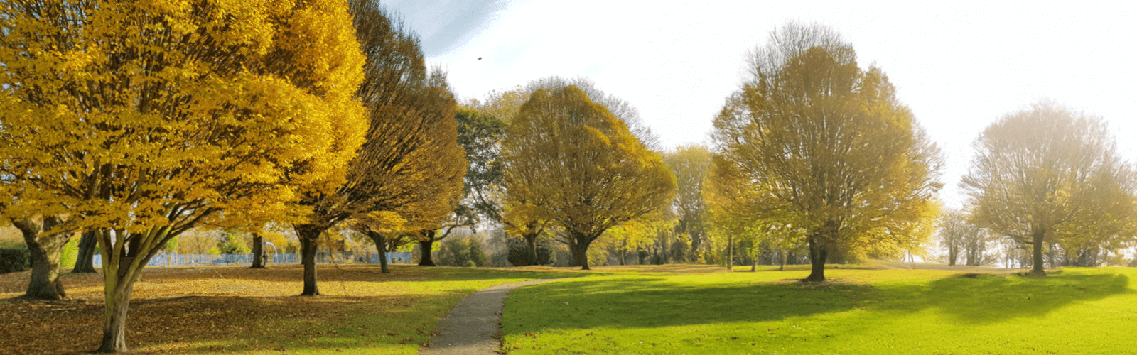 Homepage | London Borough of Bexley