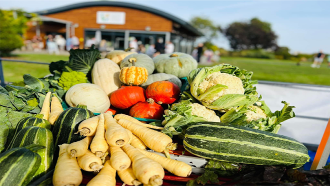 Celebrating Bexley events | London Borough of Bexley